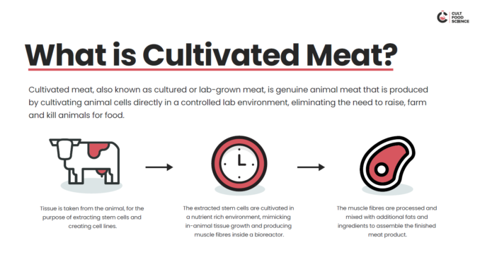 How Cultured Meat Technology Will Change Restaurant Menus for the Better